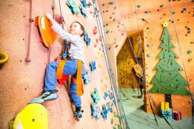 Climbing - Sydney Indoor Climbing Gym : Sydney Indoor Climbing Gym