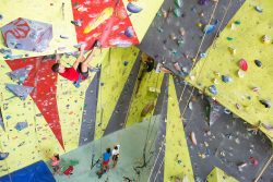 Climbing - Sydney Indoor Climbing Gym : Sydney Indoor Climbing Gym
