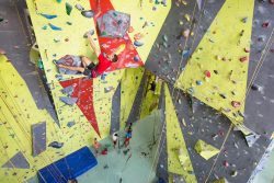 Climbing - Sydney Indoor Climbing Gym : Sydney Indoor Climbing Gym