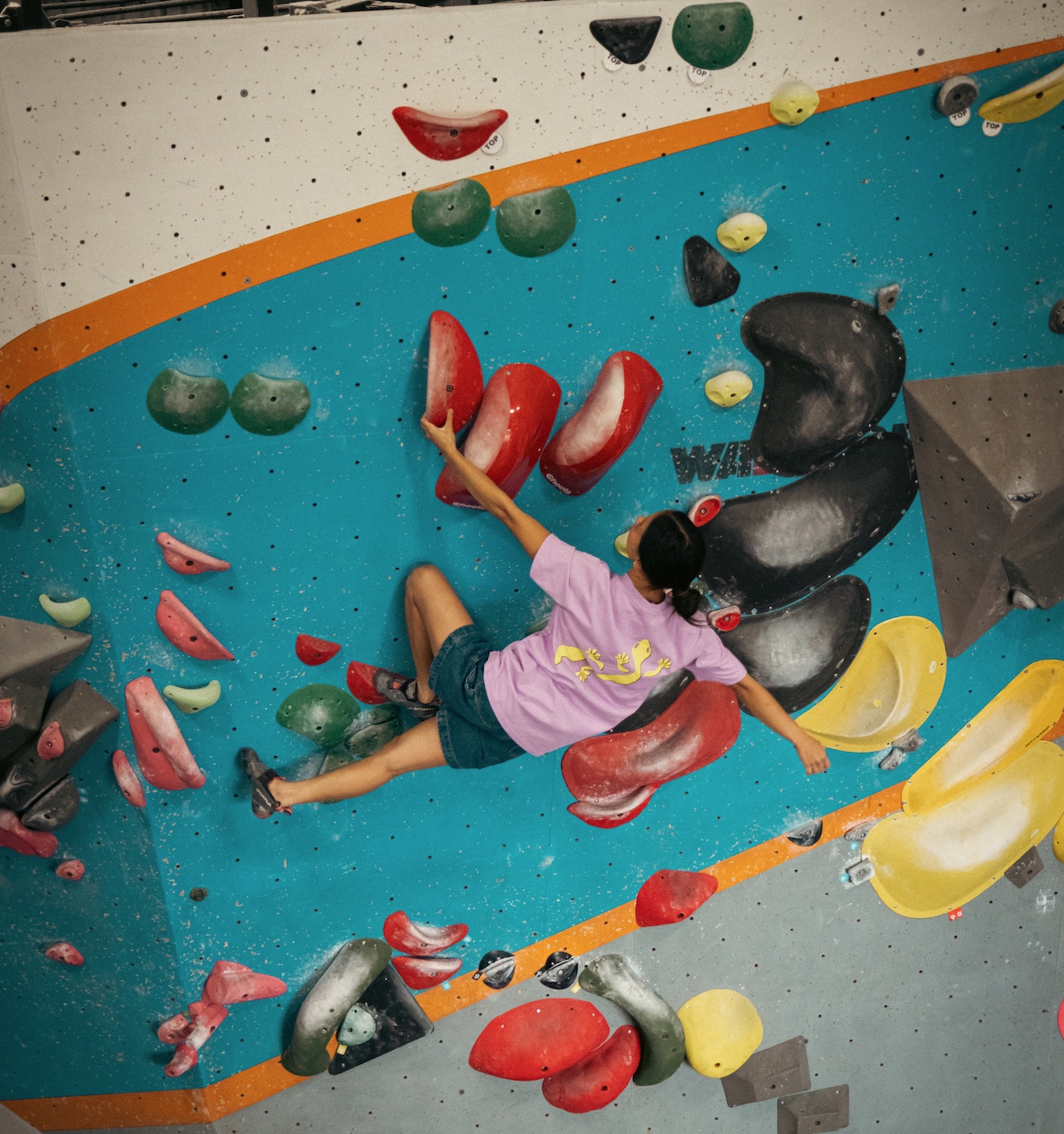 New Merchandise - Sydney Indoor Climbing Gym : Sydney Indoor Climbing Gym